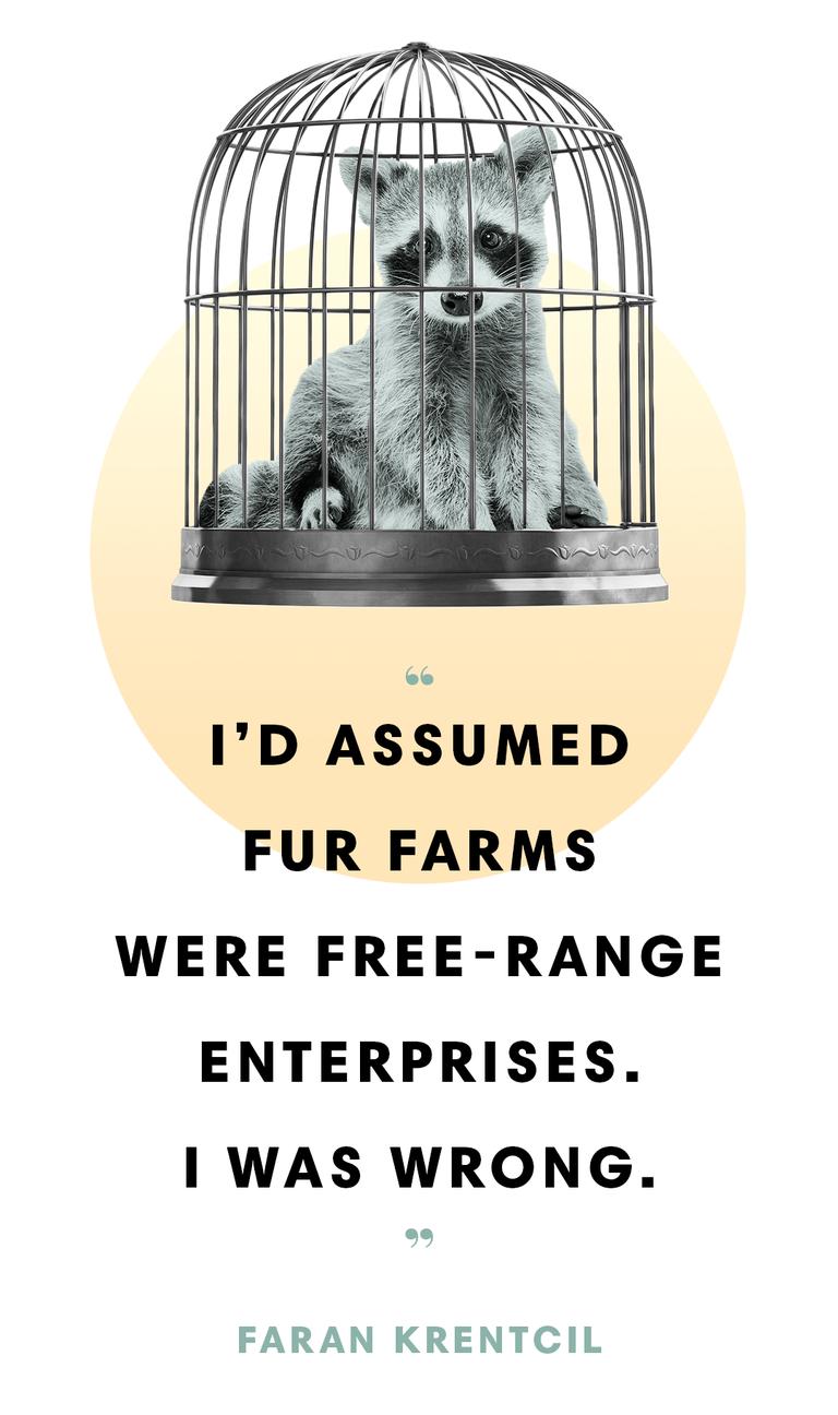 Animal Cruelty Fur Quotes Kindness To Animals Quotes Biggest Gallery