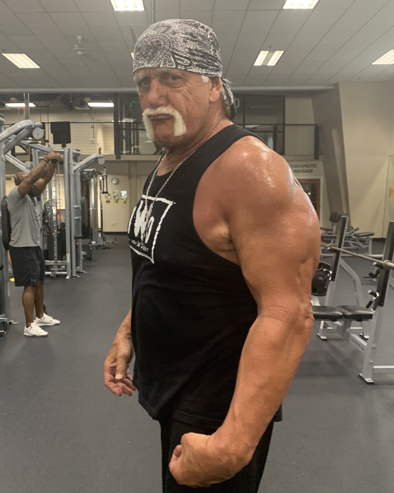 Les Muscles De Hulk Hogan Hulk Hogan's Body Transformation Over The