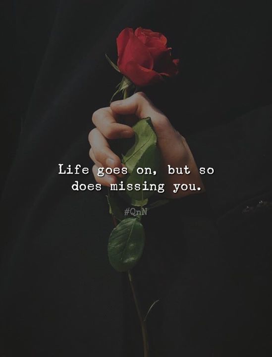 Missing Rose Quotes Inspiring Rose Quotes About Life, Love, And