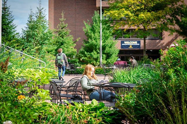 Information Technology | Michigan Technological University