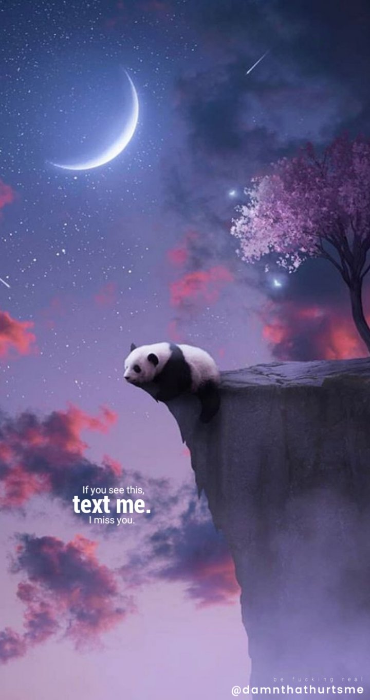 Panda Quotes Tumblr