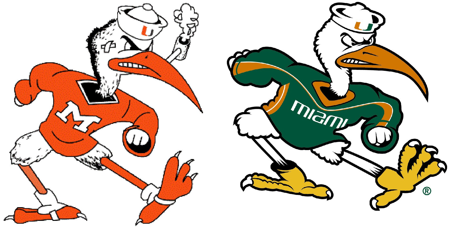 Miami Hurricanes Ibis Logo