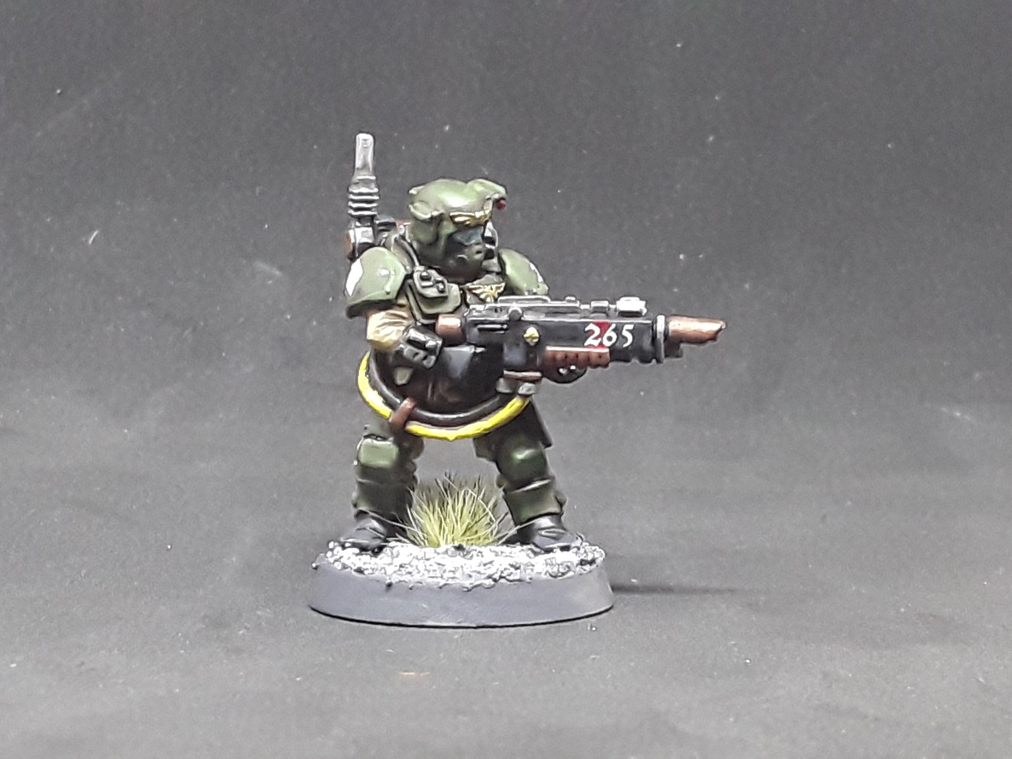 Kasrkin Conversion