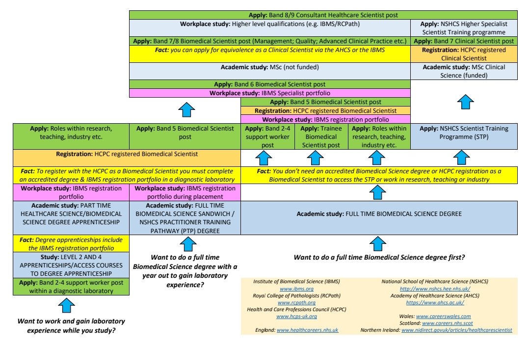 Biomedical Science Careers
