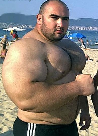 beefymuscle.com on Twitter: "More beefy muscle: https://beefymuscle.com #beefy #massive #muscle ...