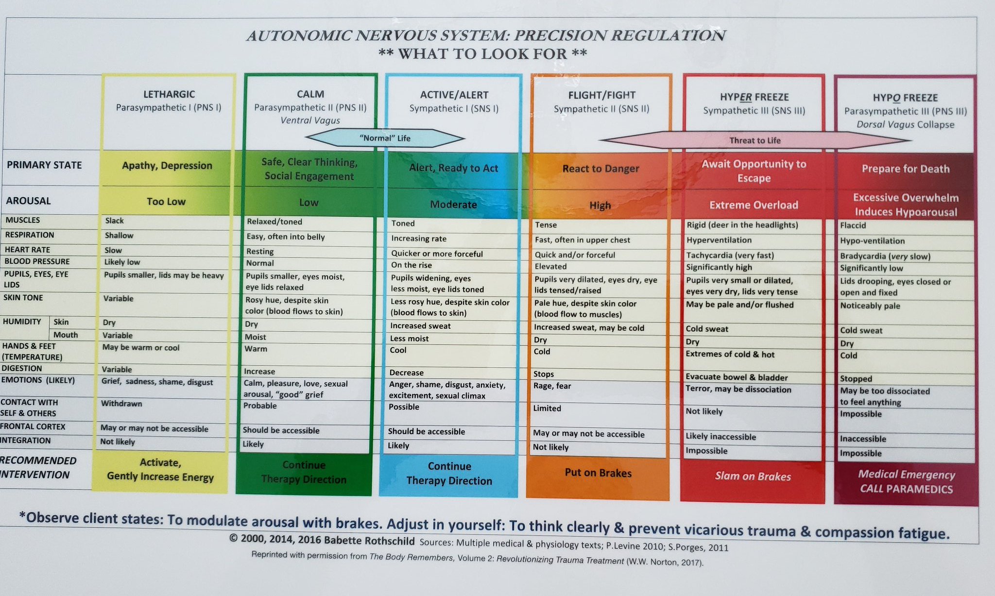 Autonomic Nervous System Precision Regulation Chart 100% Genuine | www ... Autonomic Nervous System Precision Regulation Chart 100% Genuine | www ...