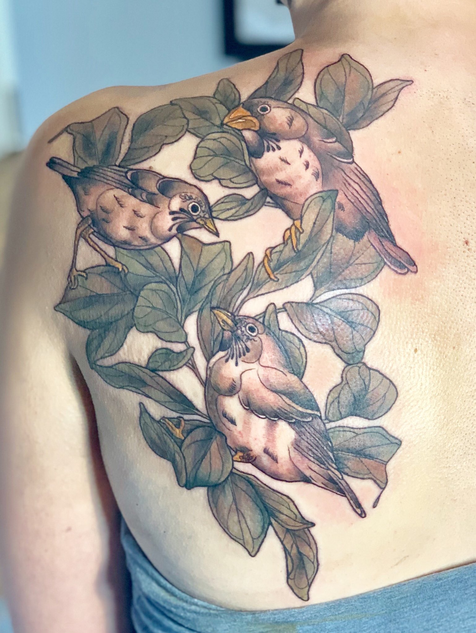 Darwins Finches Tattoo