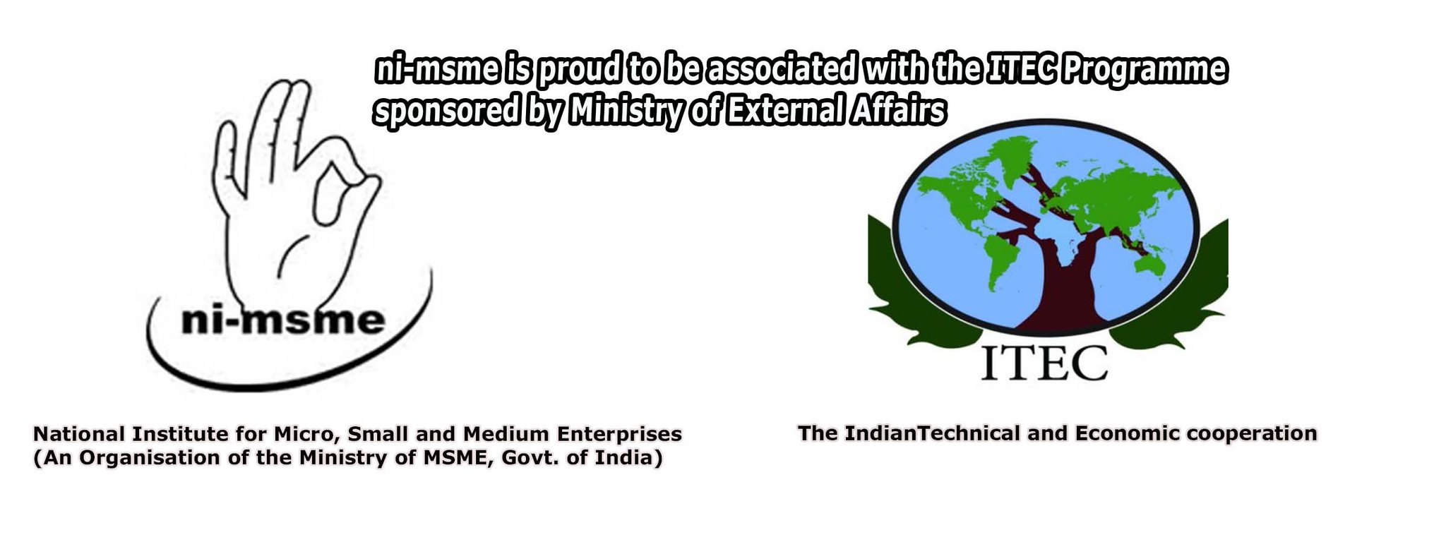 Nimsme Logo New MBA Programme In MSME Management Launched By MSME