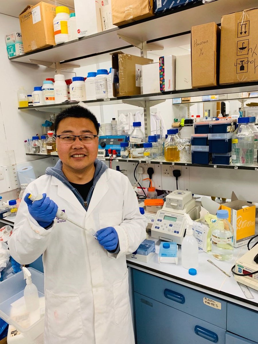EDI - UCL Chemistry on Twitter: "Celebrating #PAW2019 with Haoran Yu from @UCLChemistry. Haoran ...