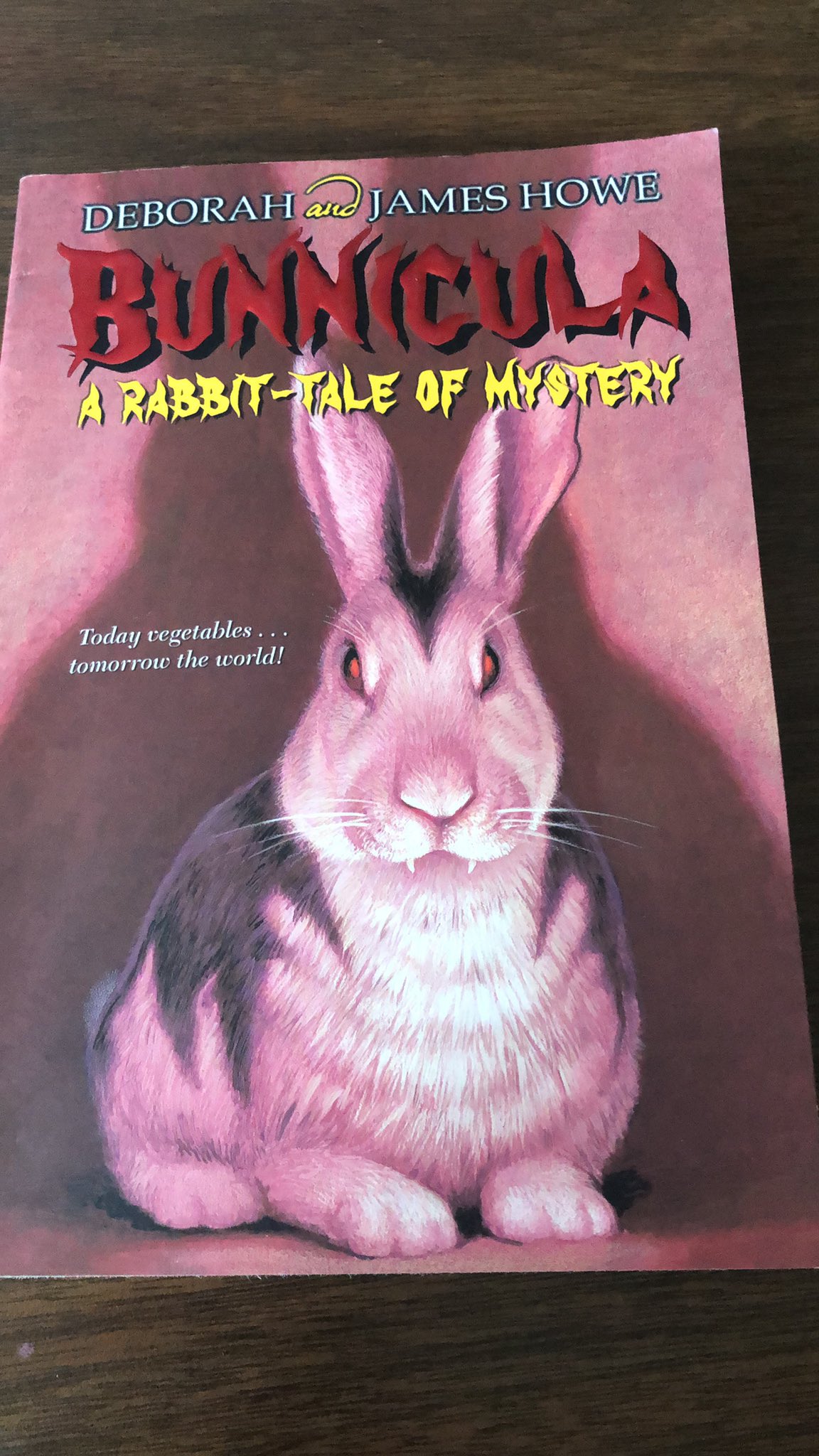 Jordan Caravona on Twitter: "We just read Bunnicula by Deborah and ...