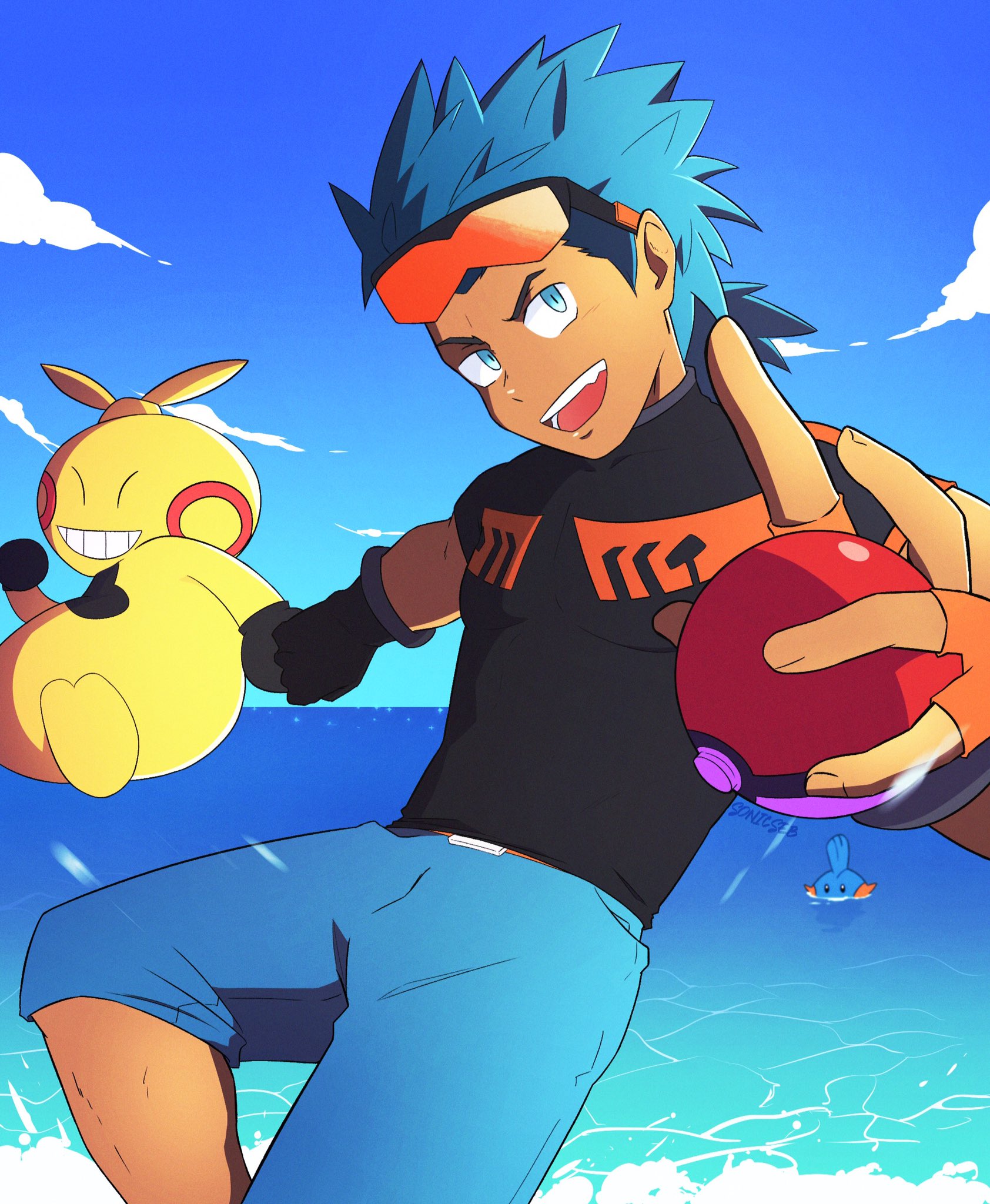 Pokemon Brawly