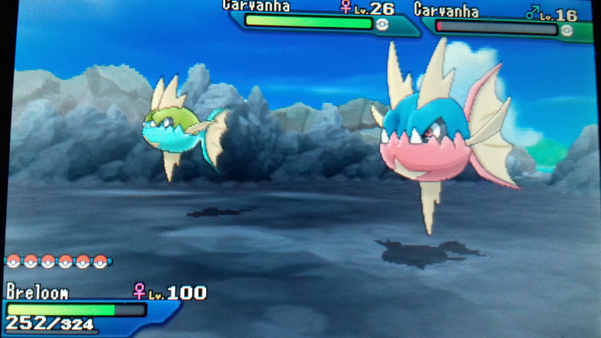 Shiny Sharpedo Pokemon X