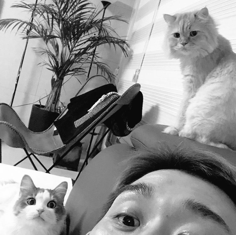 code kunst .ᴊᴘɢ on Twitter: