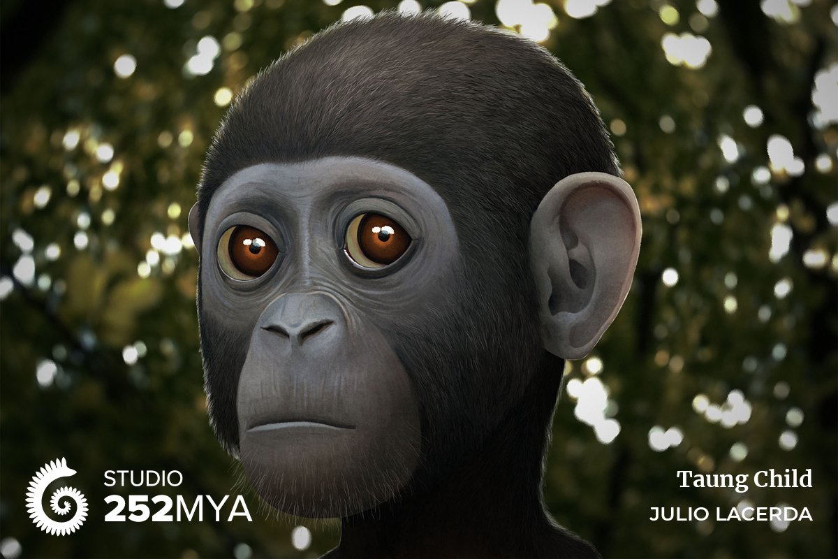 Australopithecus Africanus Taung Child