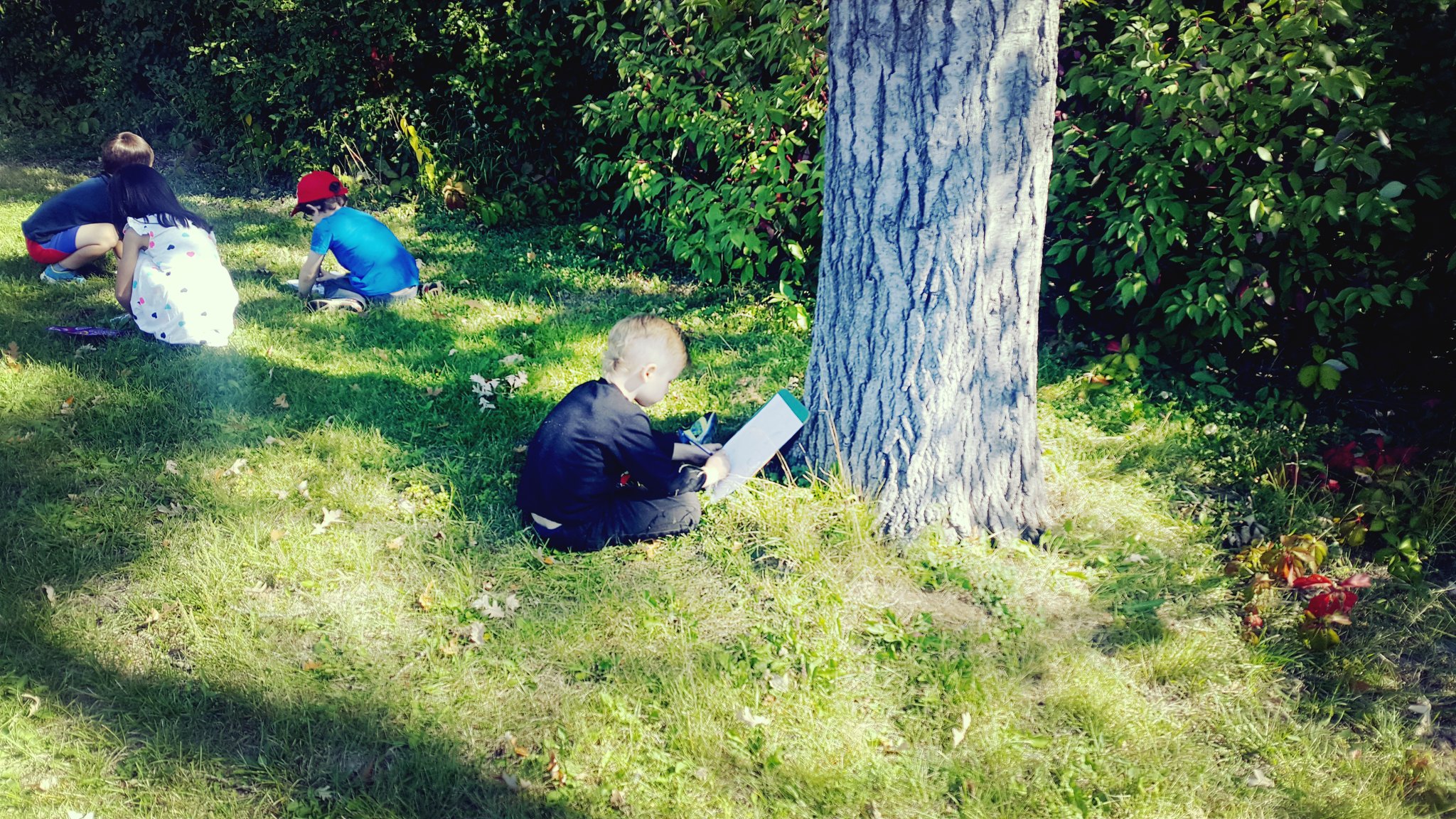 Non Living Things In Nature