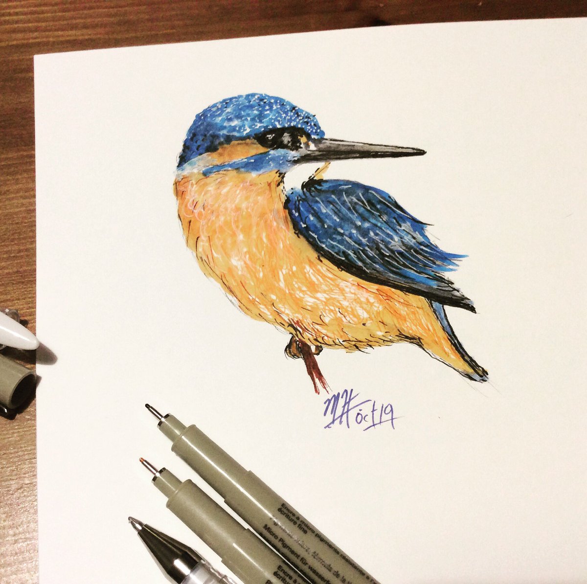 Twoucan - Edinburgh Inky Fox (@EdinburghFoxInk)