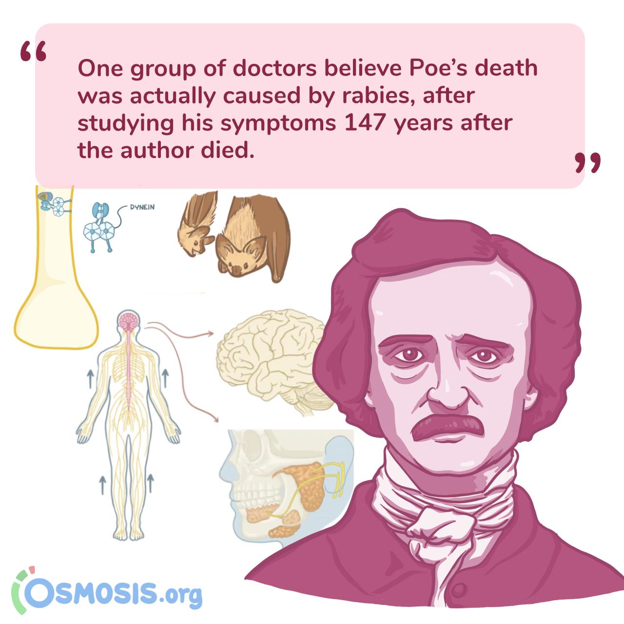 People With Rabies Foaming