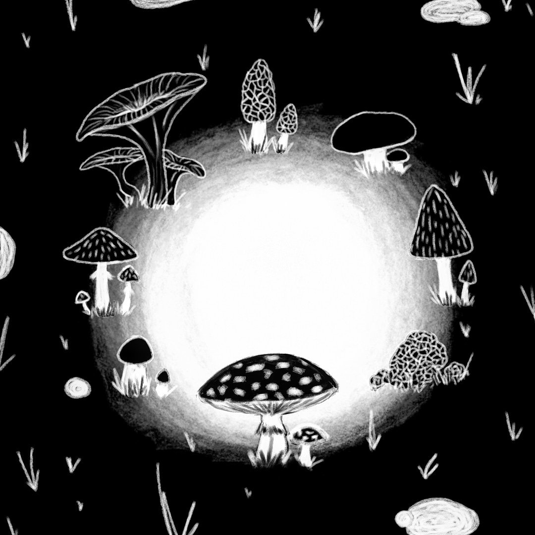 Warren Bear (@WBear_Animated) さんのイラスト・マンガ作品まとめ (2 件) - Twoucan