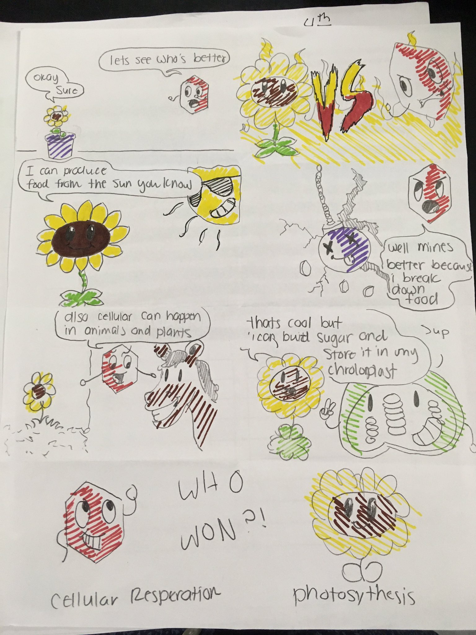 Photosynthesis Comic Strip Examples
