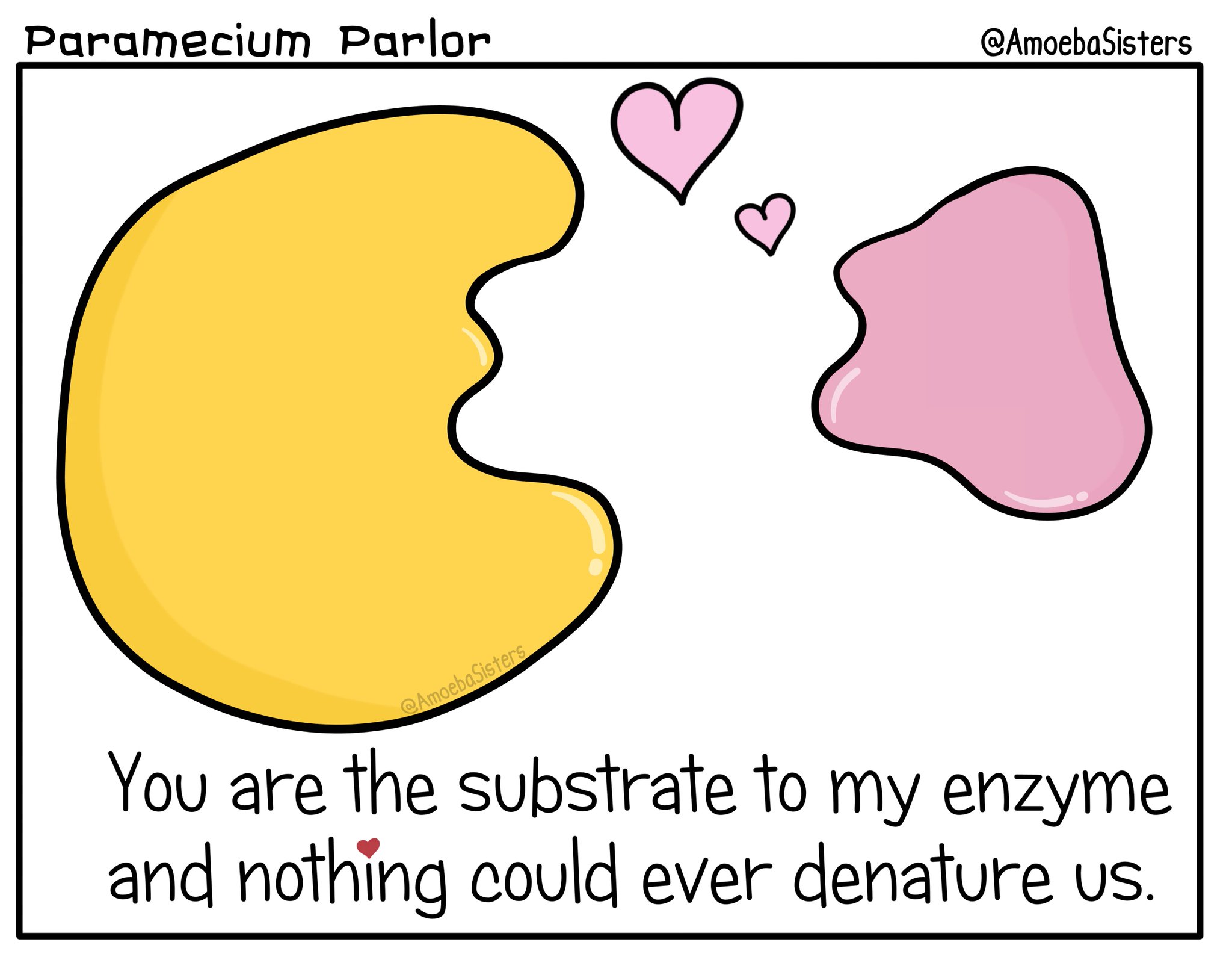 Amoeba Sisters on Twitter: "Enzyme and substrate. ️ More of our # ...