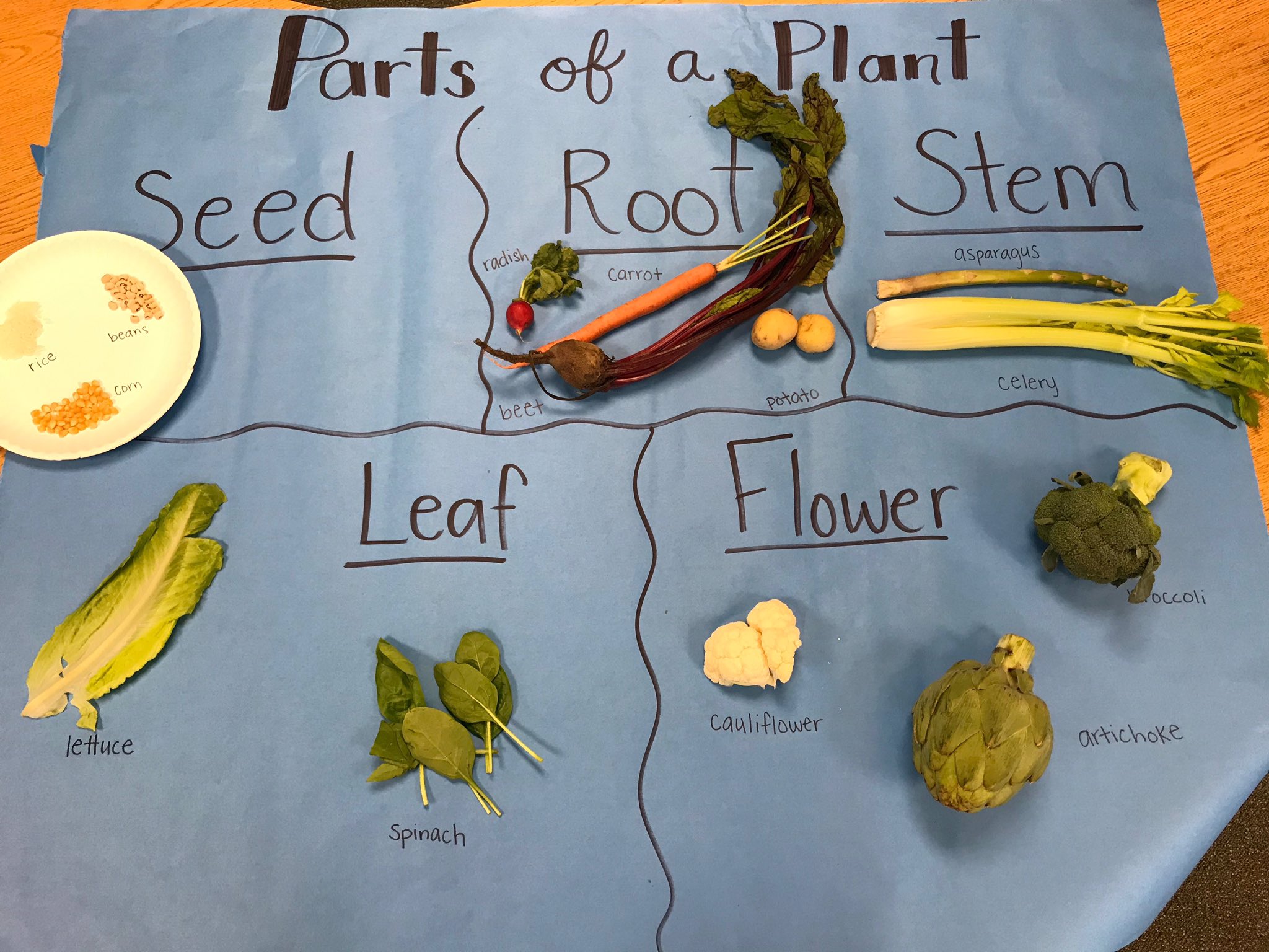 Parts Of Vegetables We Eat