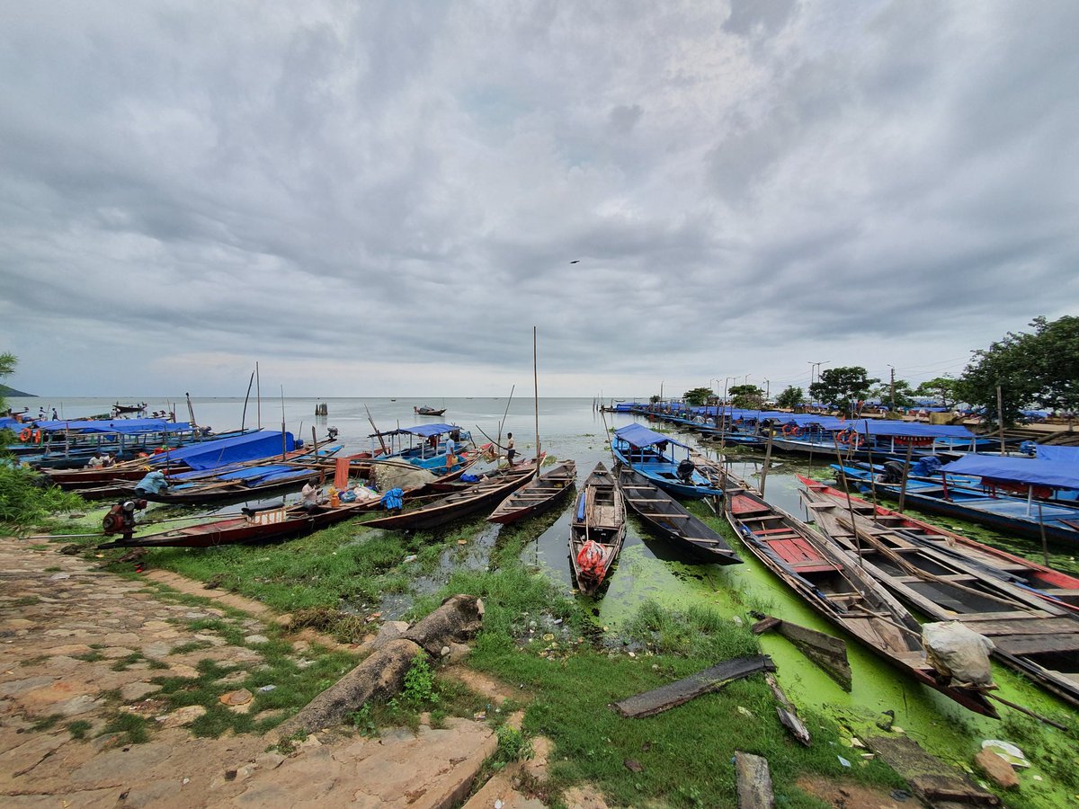 A Thread from @ePandu: "Road trip day! [...]"