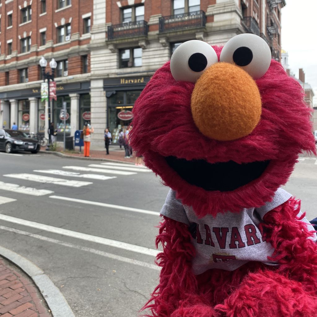 Harvard Crimson Mascot