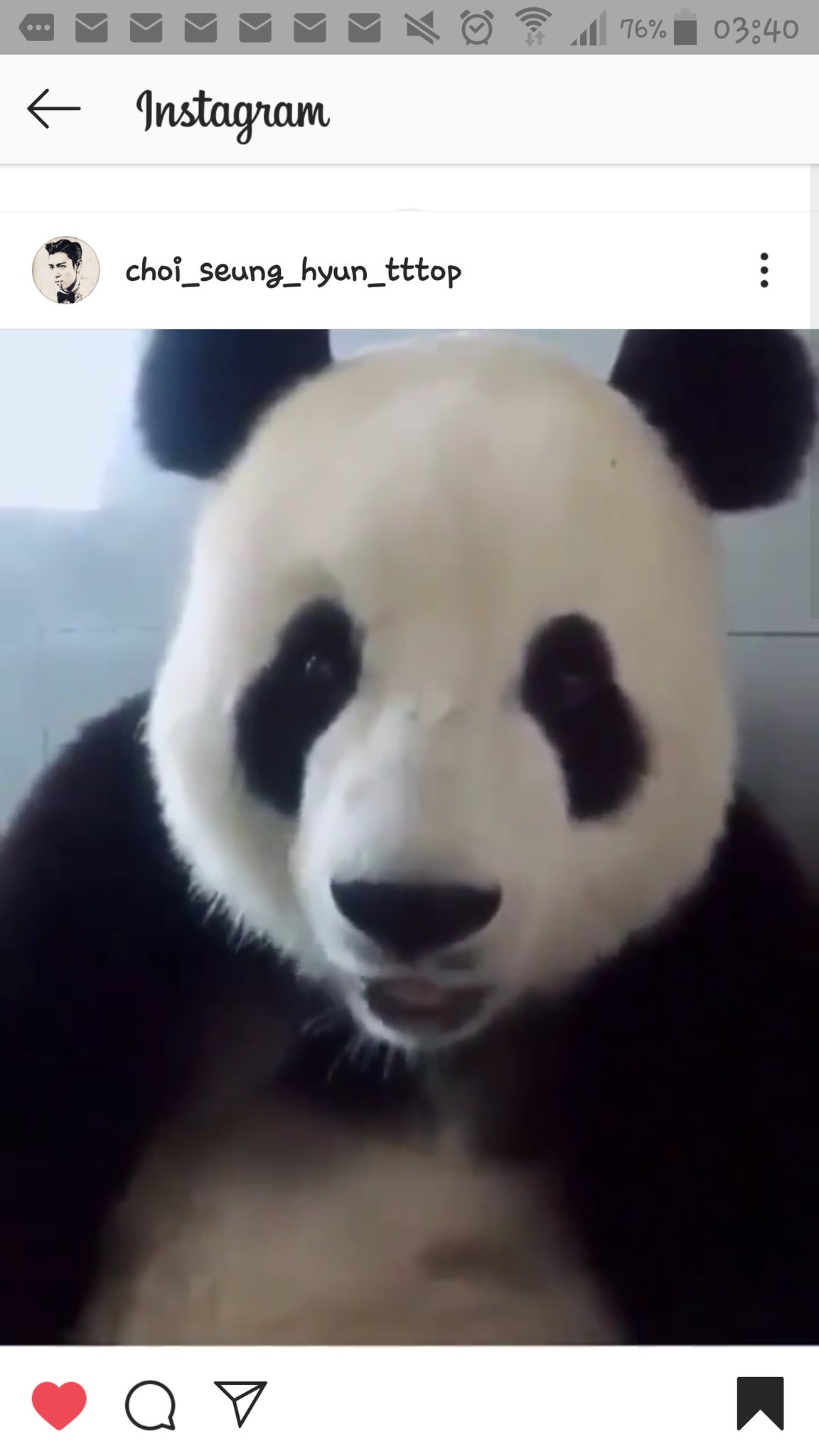 Seungri Panda