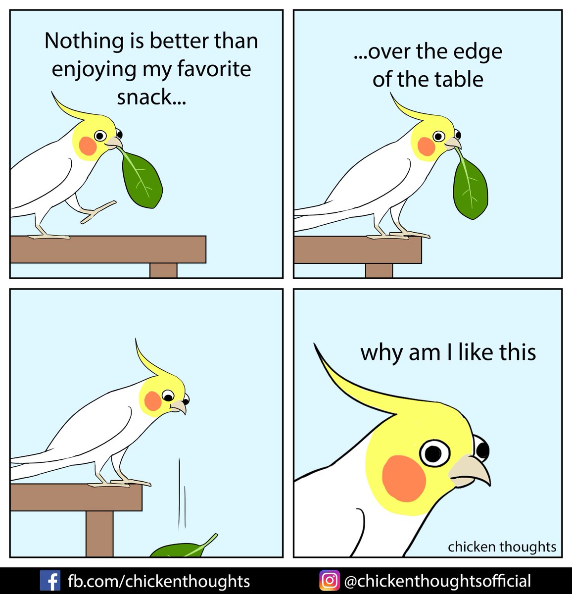 「Happy Hatchday to our fren Merle the Talking 'Tiel who bring」Chicken ...