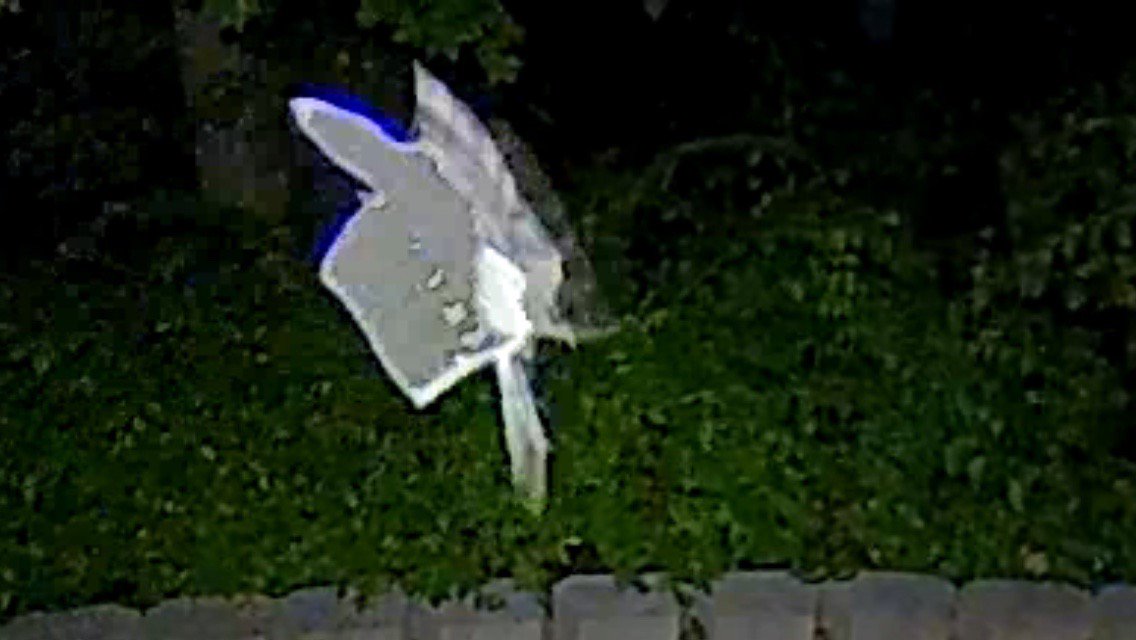 Real Fairies Caught On Camera