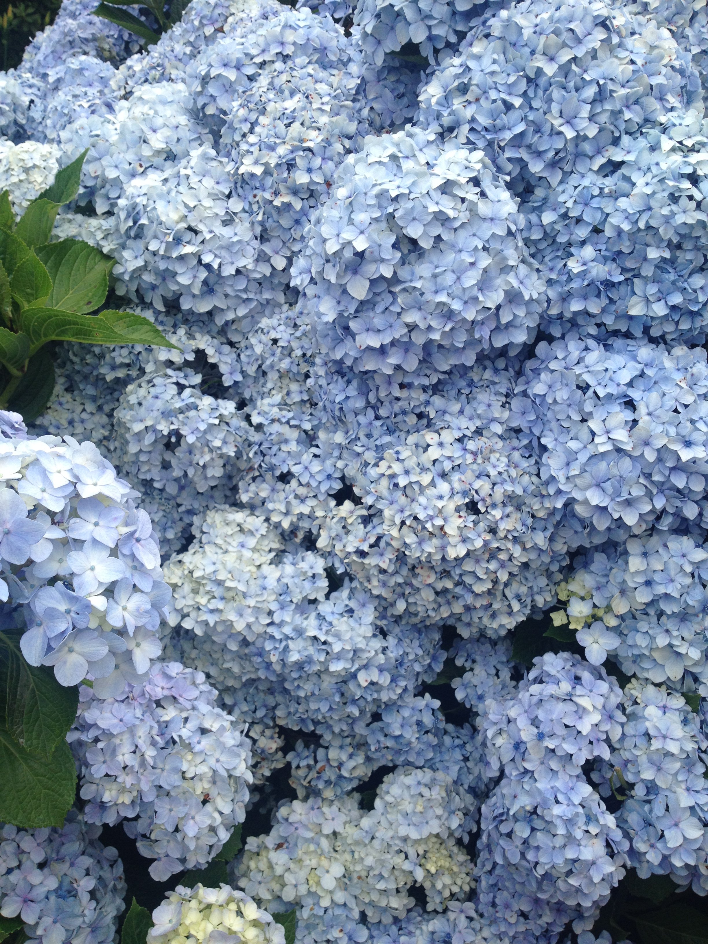 Arnab Mitra (@arnab_mitra03) / Twitter