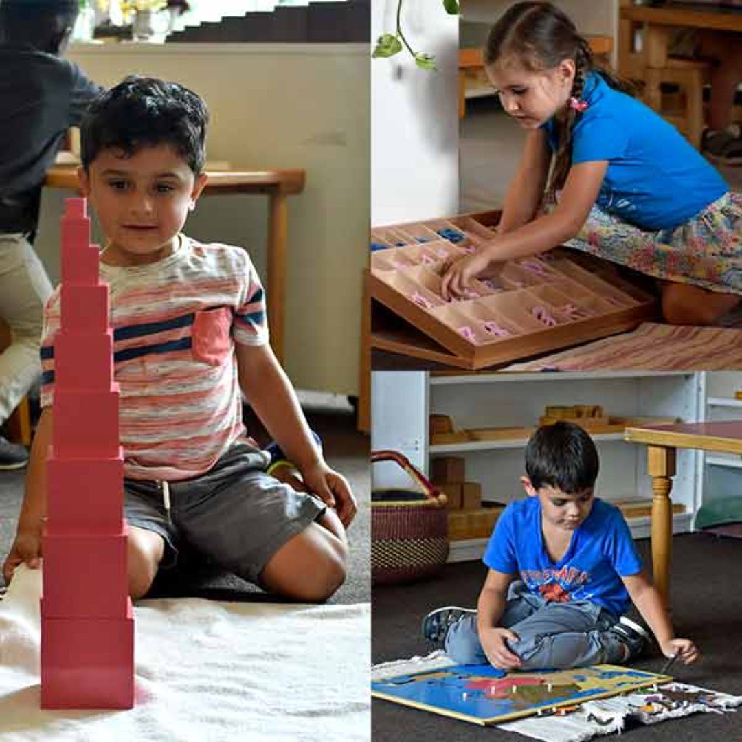 Trial And Error Learning