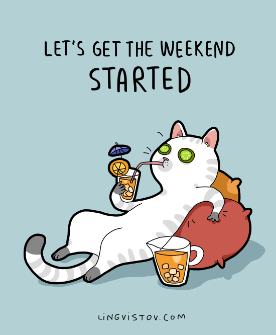Happy Weekend Cats