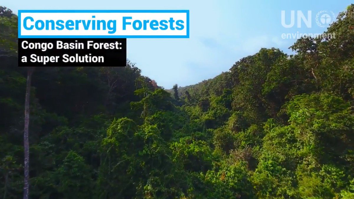 UN Environment Programme on Twitter: UN Environment Programme on Twitter: