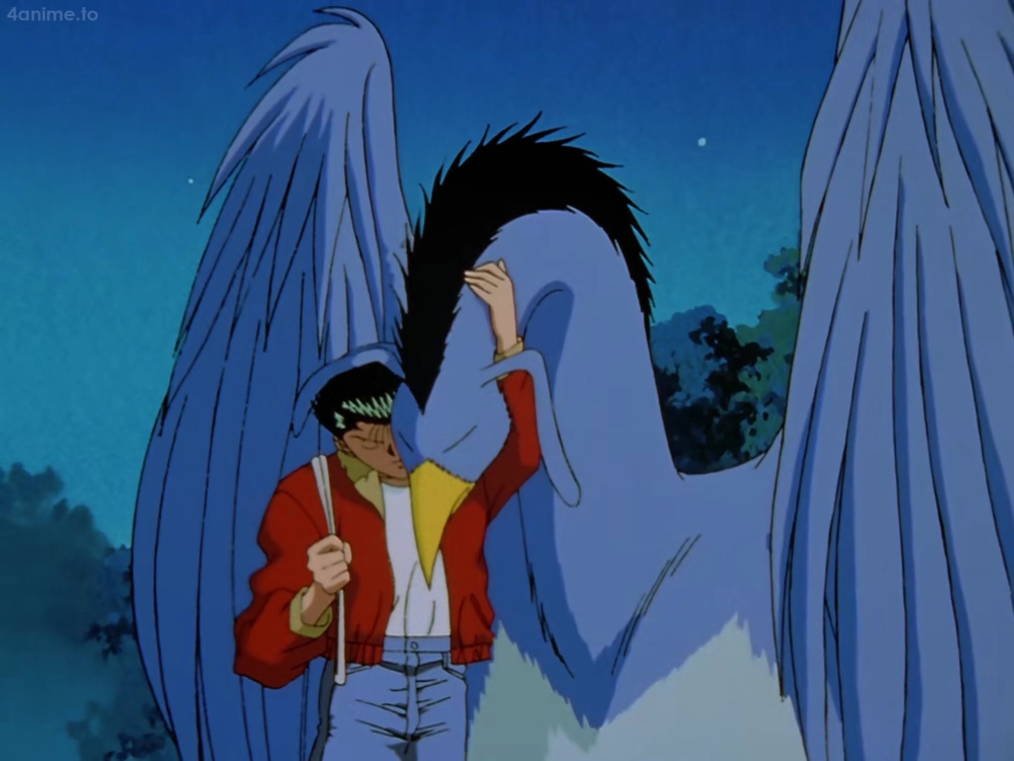 Yu Yu Hakusho Puu Transform