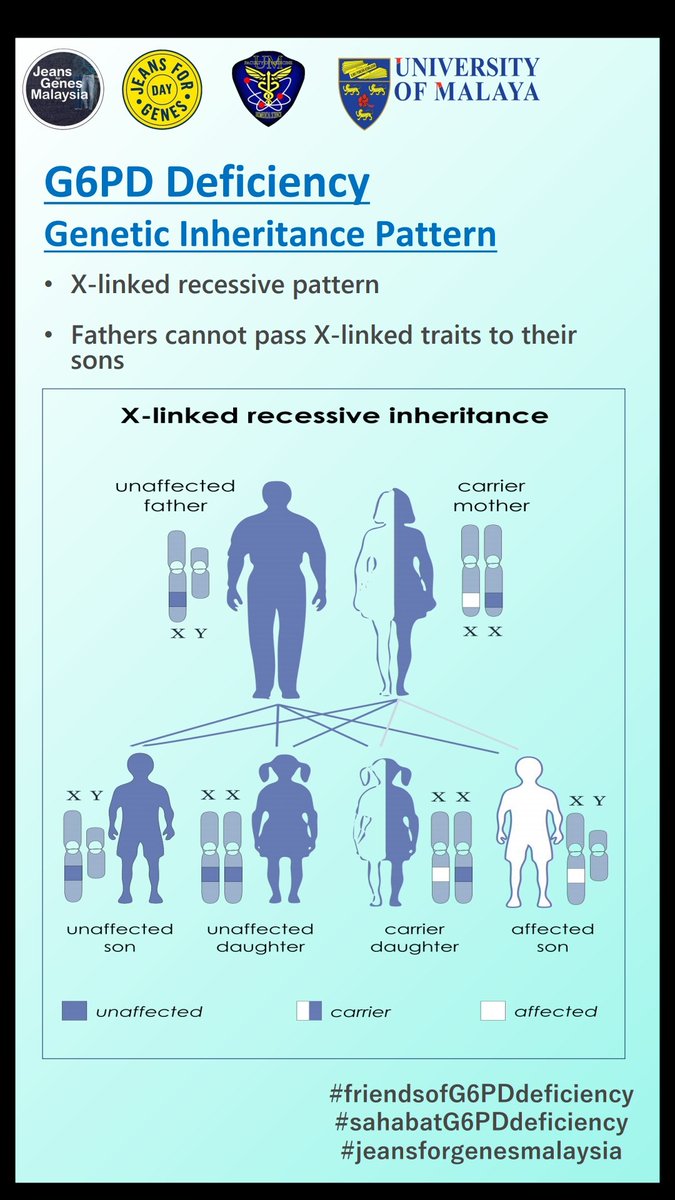 G6pd Deficiency Genetics