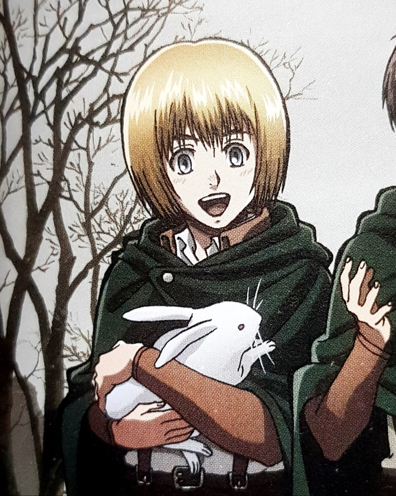 Armin Arlert Cute
