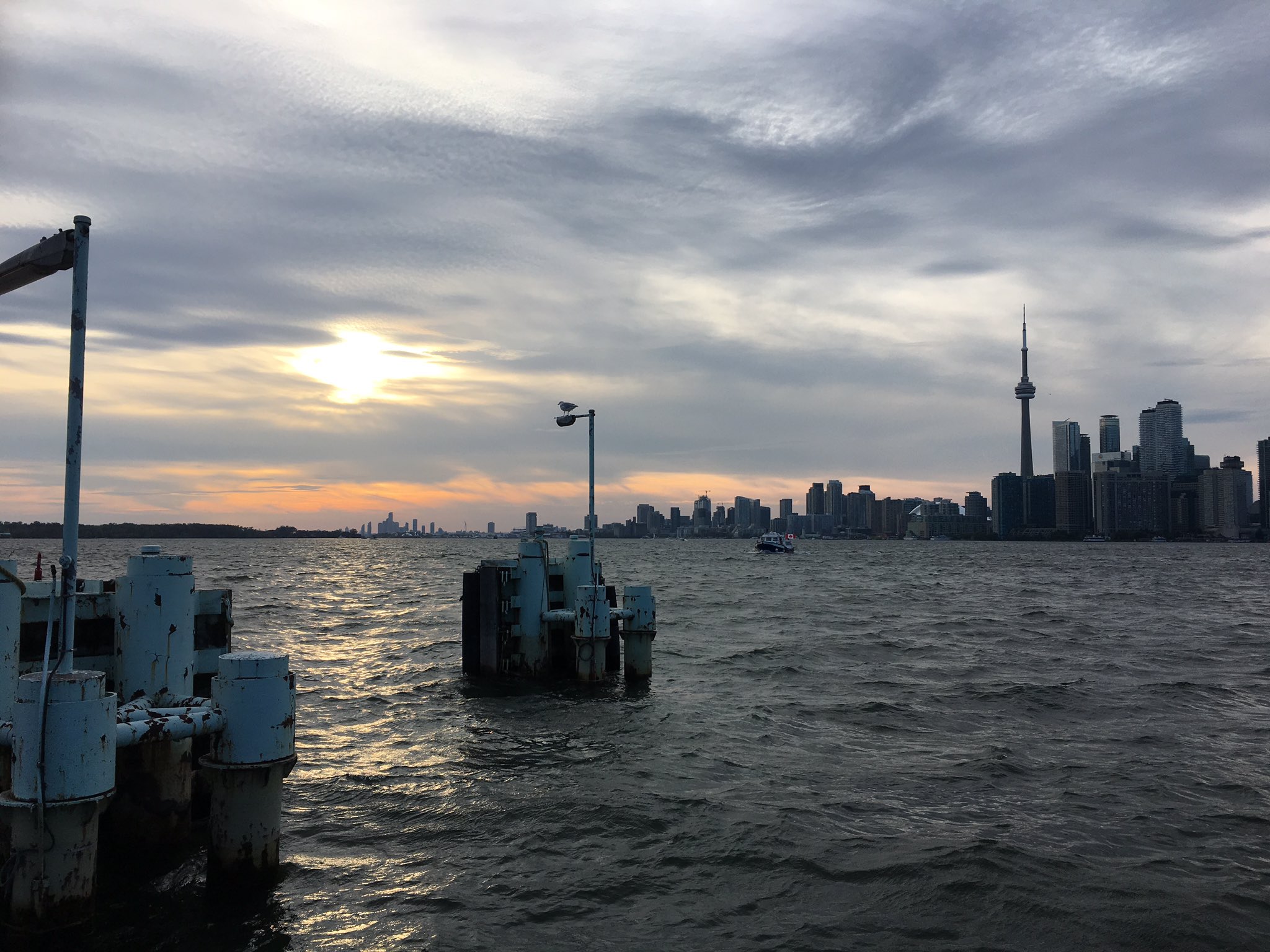 Can You Take Dogs To Toronto Island
