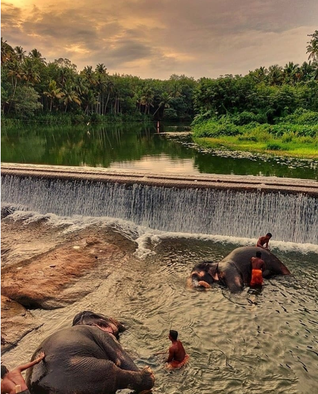 Thirparappu Waterfalls Top Most Famous Waterfalls In Tamil Nadu