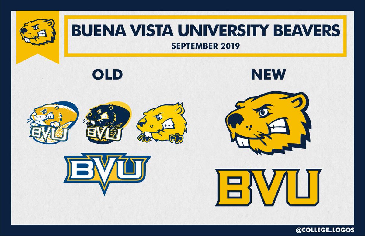 Bvu College