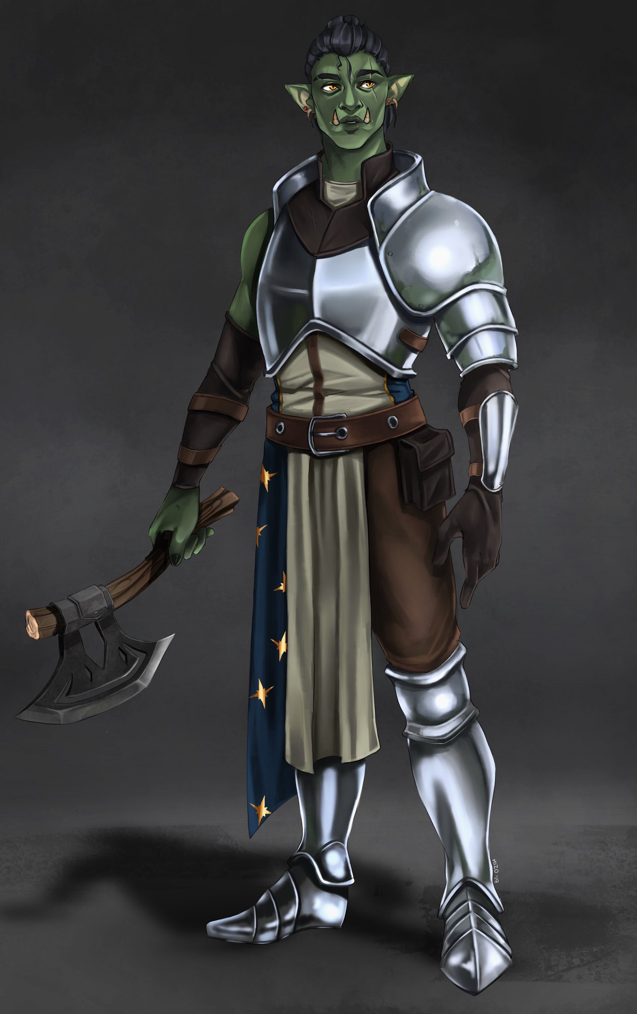Half Orc Paladin