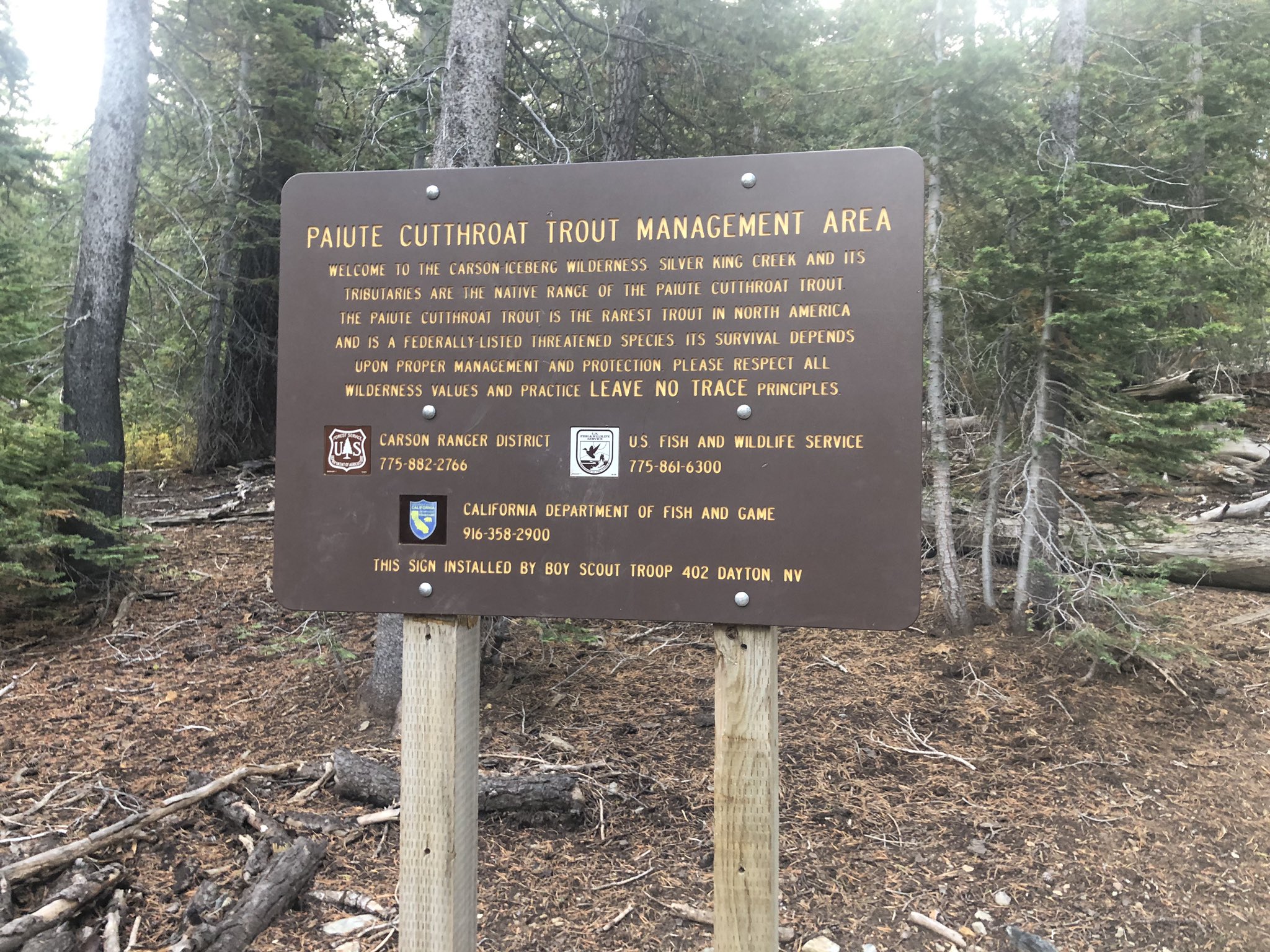 Paiute Cutthroat Trout