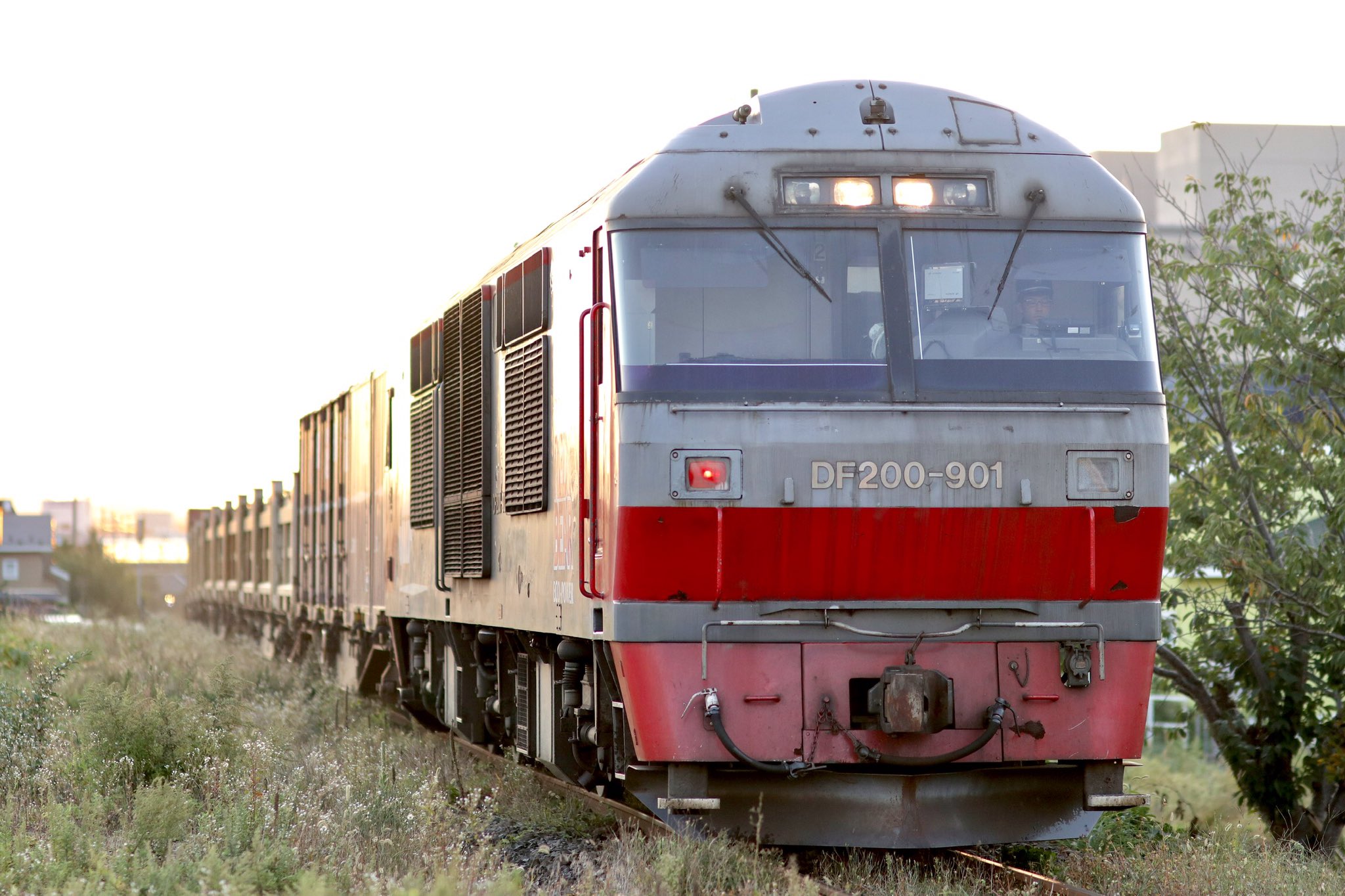 えびきた on Twitter: "#DF200 #901号機 まだ夜明けが早いので今回も朝練。有川支線専用機？のDF200-901号機。やっと支線内運行中を撮影。その他、函館貨物駅の入れ換え ...