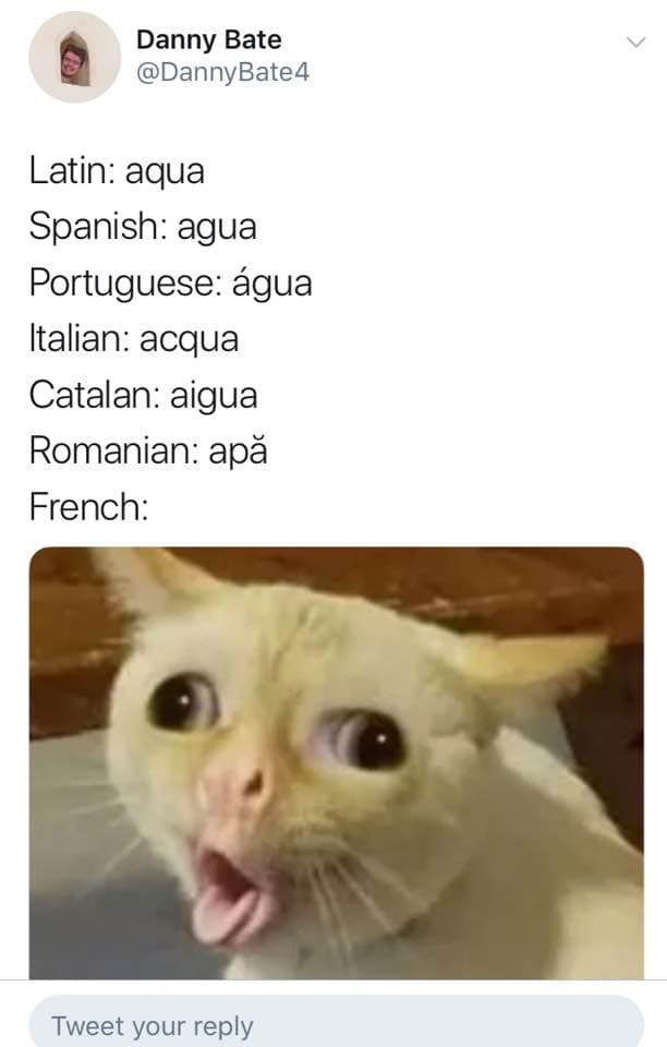 Eau In French