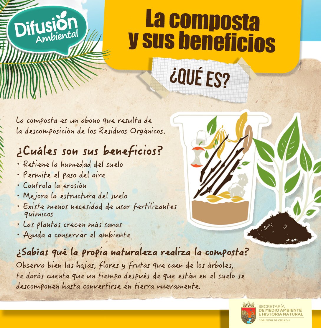 La Importancia De Hacer Una Composta En Casa Y Sus Beneficios La ...