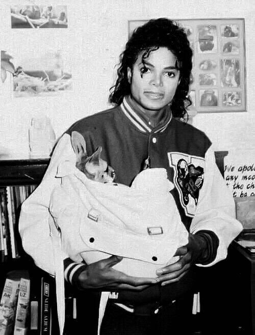 Michael Jackson When He Was A Baby
