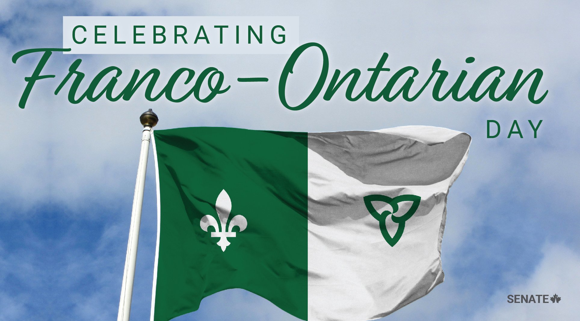 Franco Ontarian Flag