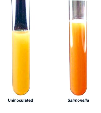 Selenite F Kaldu Komposisi, Prinsip, Persiapan, Hasil,, 50% OFF