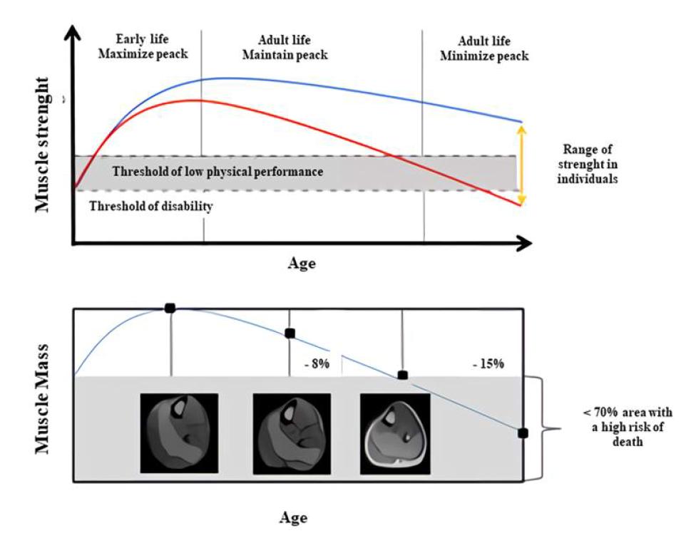 Physio Meets Science On Twitter Reversal Of Age Associated Frailty By