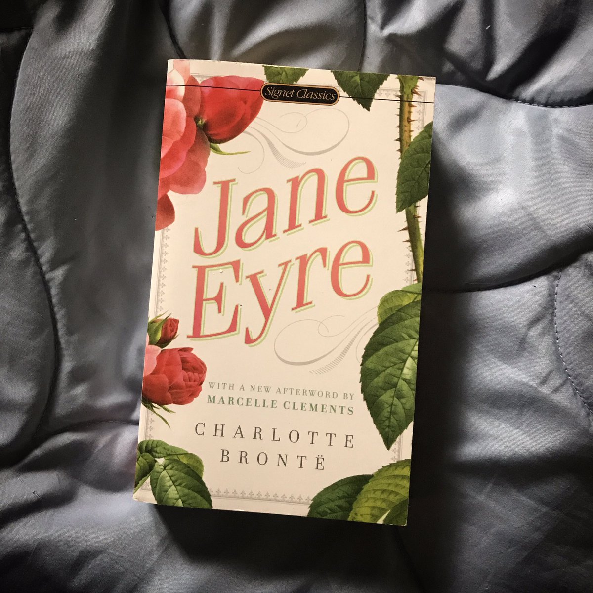 Jane Eyre Book Cover Signet Classics